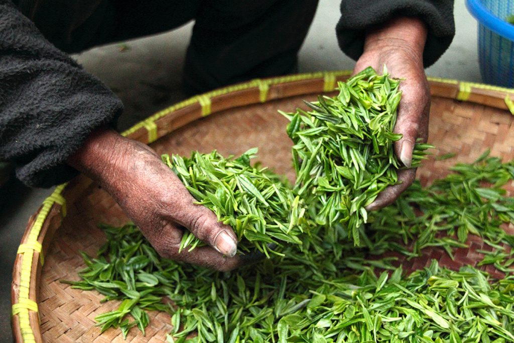 A Beginner’s Guide to Selecting High-Quality Tea Leaves - Kitchables Blog