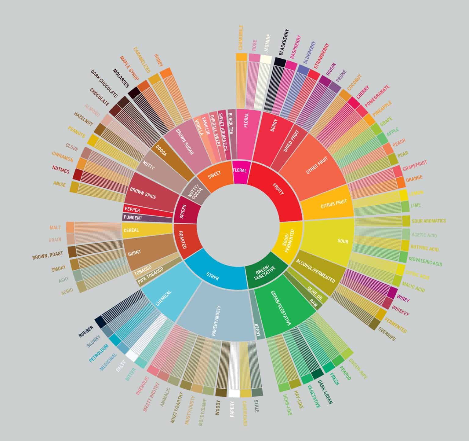 Coffee Flavor Wheel Explained for Beginners - Kitchables